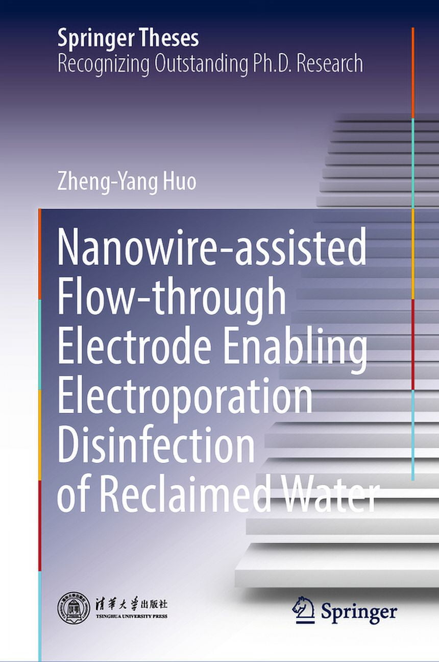 Springer Theses Nanowire-Assisted Flow-Through Electrode Enabling ...
