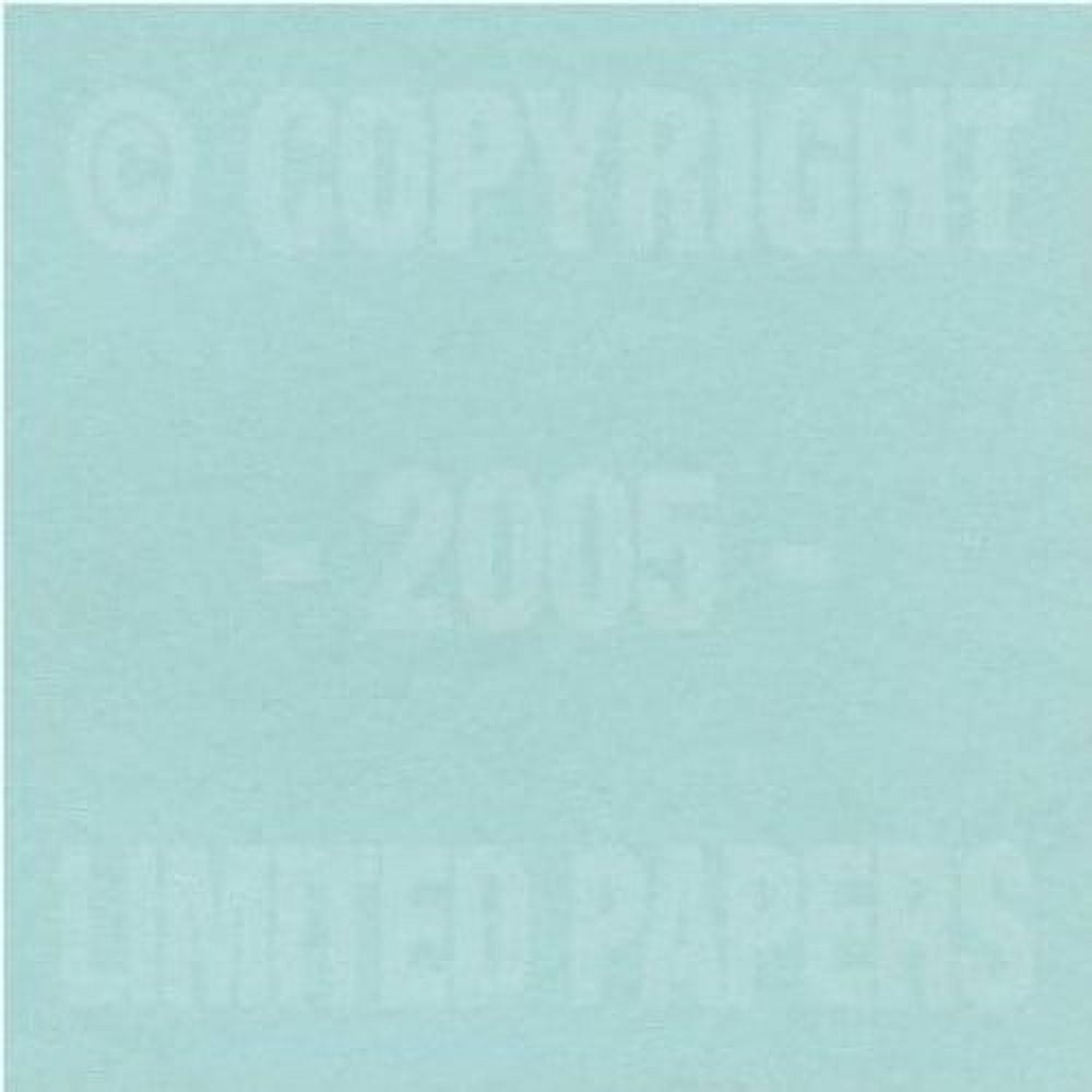 Springhill Vellum Bristol Cover 67 lb, Paper Size 11X17 – 250 Sheets ...