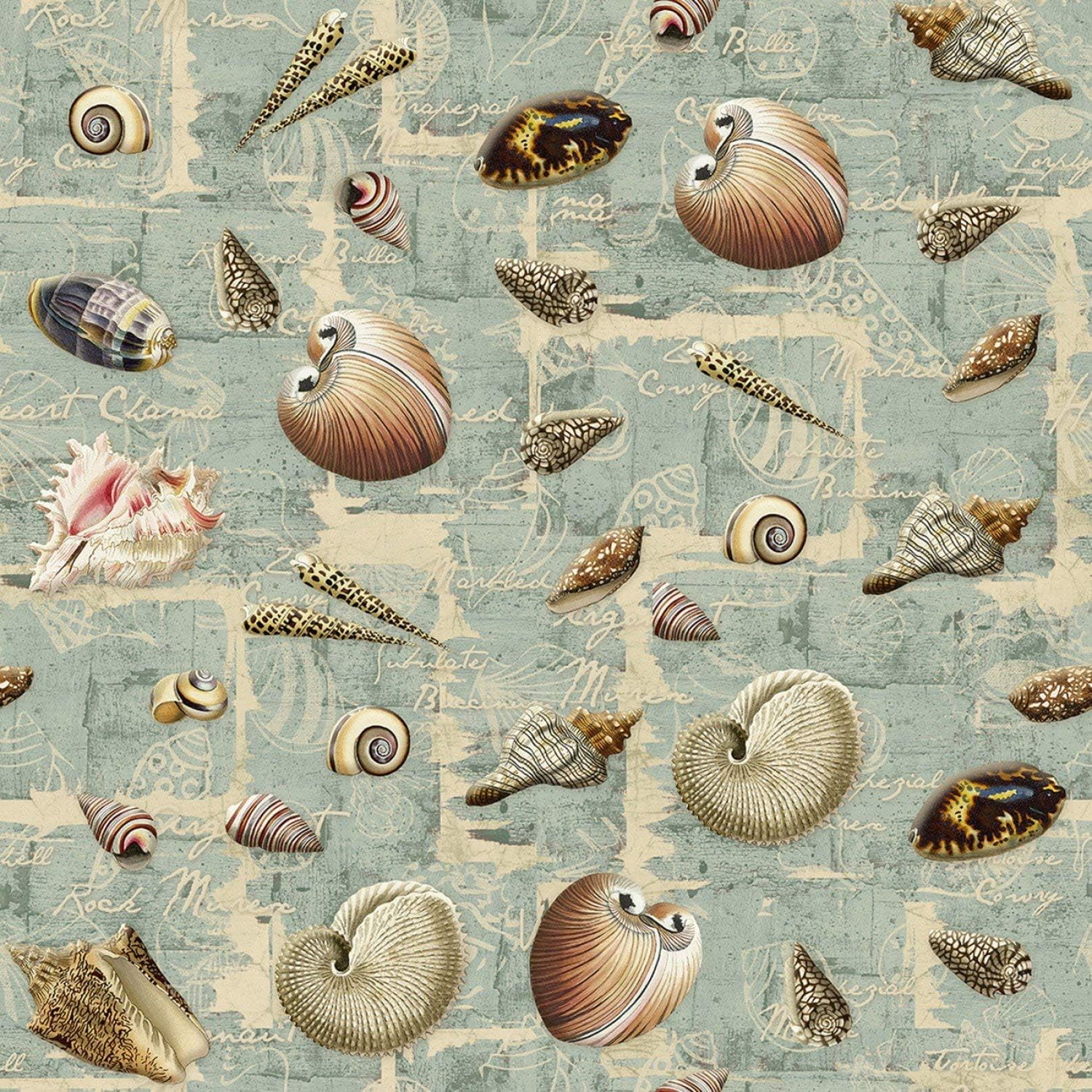 Springs Creative Shell Collection 100% Cotton Fabric sold by the yard ...
