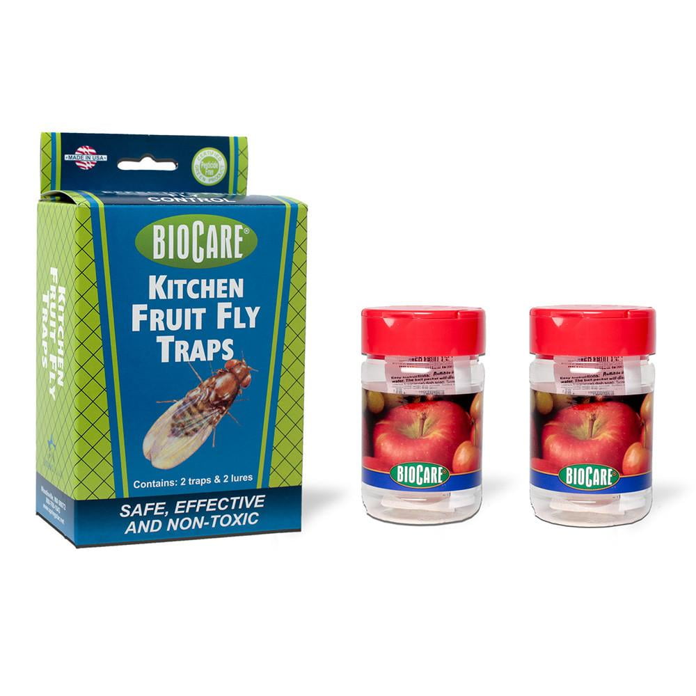 Springstar S415 BioCare? Kitchen Fruit Fly Trap 2 Pack - Walmart.com