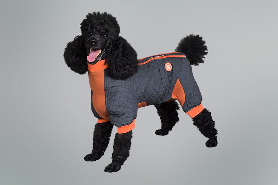 Springy. Near Full Body Dog Coat - Walmart.com