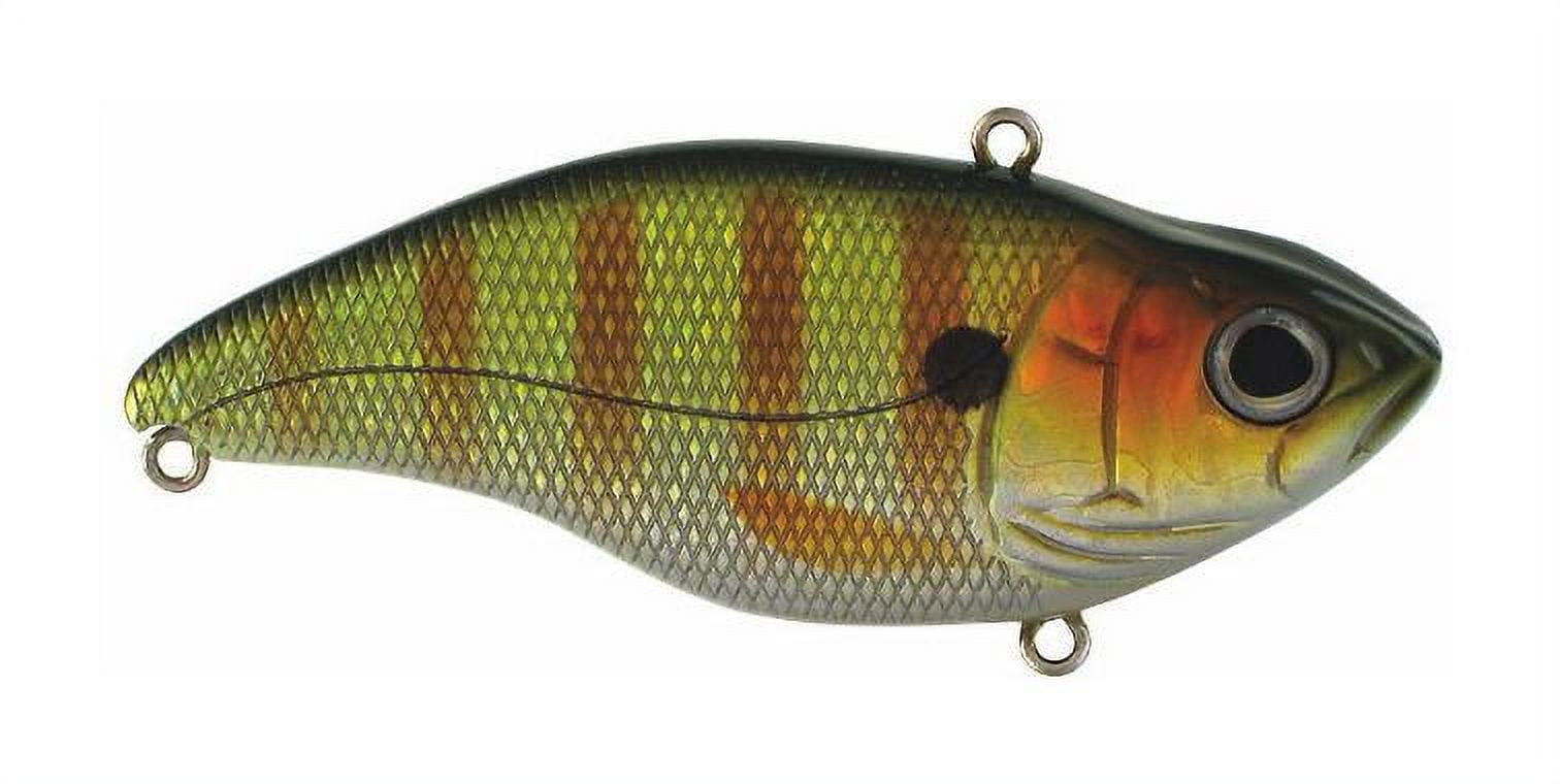 Spro Aruku Shad 75 Bait-Pack Of 1, Chartreuse Black In | Whizz Topwater ...