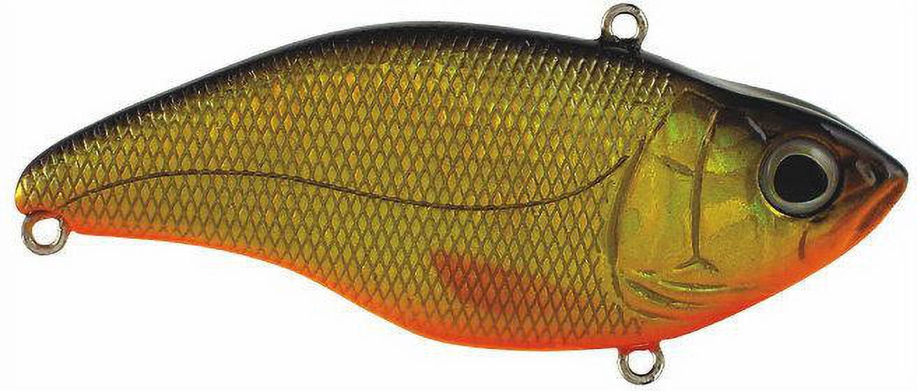 Spro Aruku Shad Jr. Gold Black - Walmart.com
