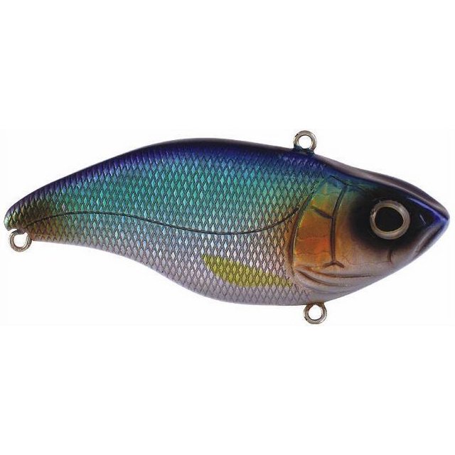 Spro SAS60BSR Aruku Shad Jr. Lipless Crankbait 2" 3/8 oz Blue - Walmart.com