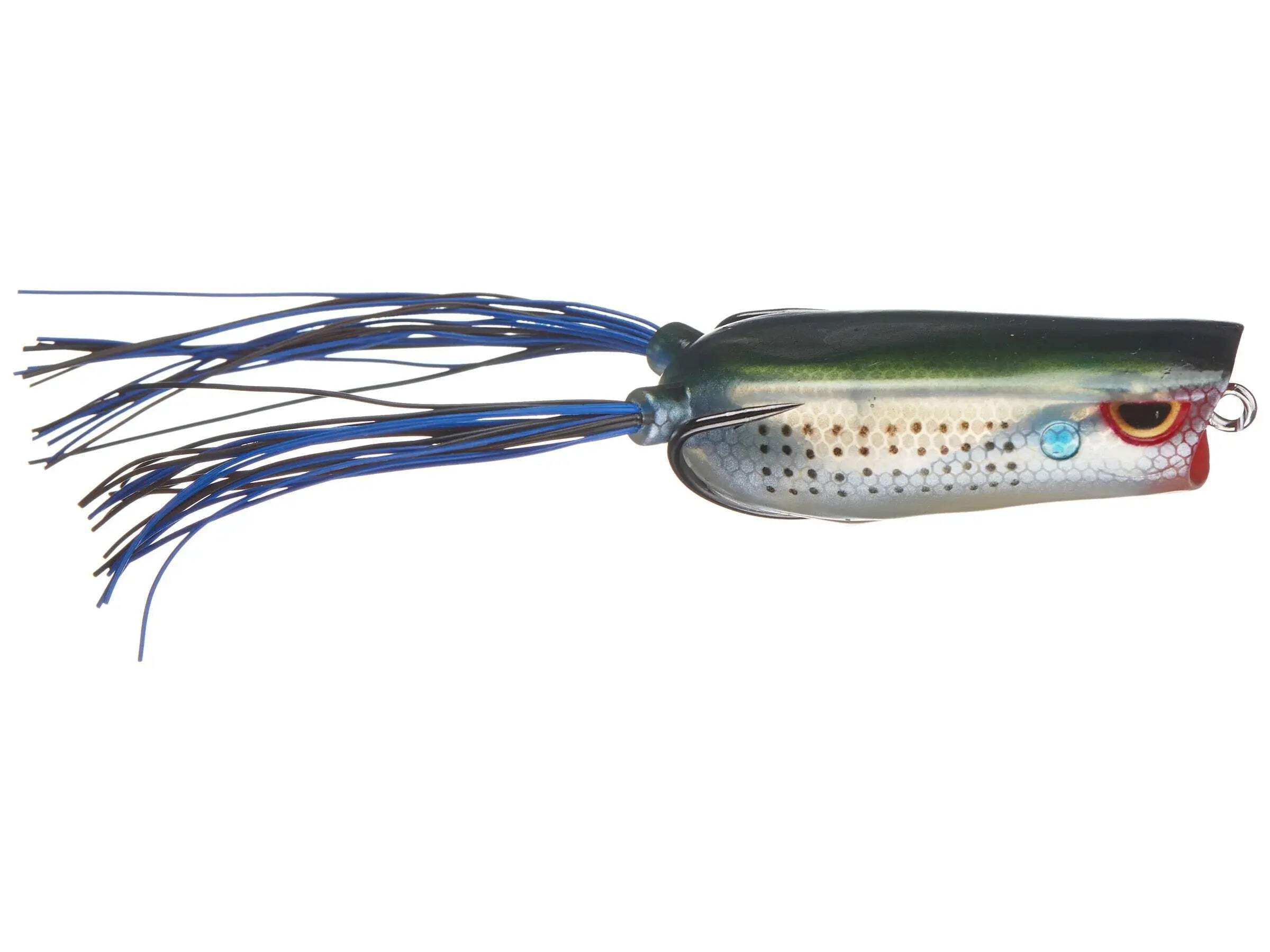 Spro SBEPP60TOAD Dean Rojas Bronzeye Popper Frog 2 1/2" 1/2 - Walmart.com