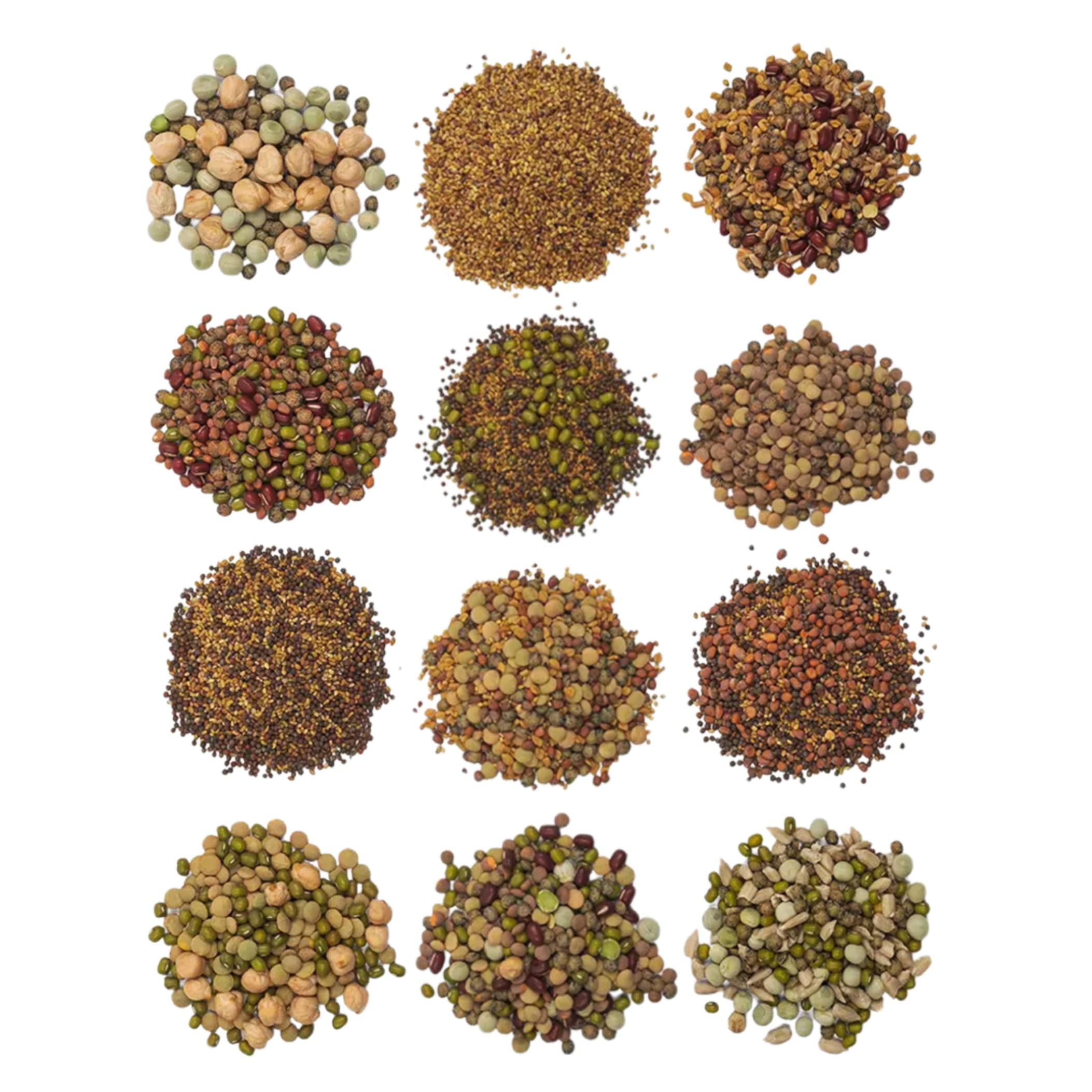 The Sprout House AJH3 Assorted Mix Sprouting Seeds - Grow Fresh Sprouts ...