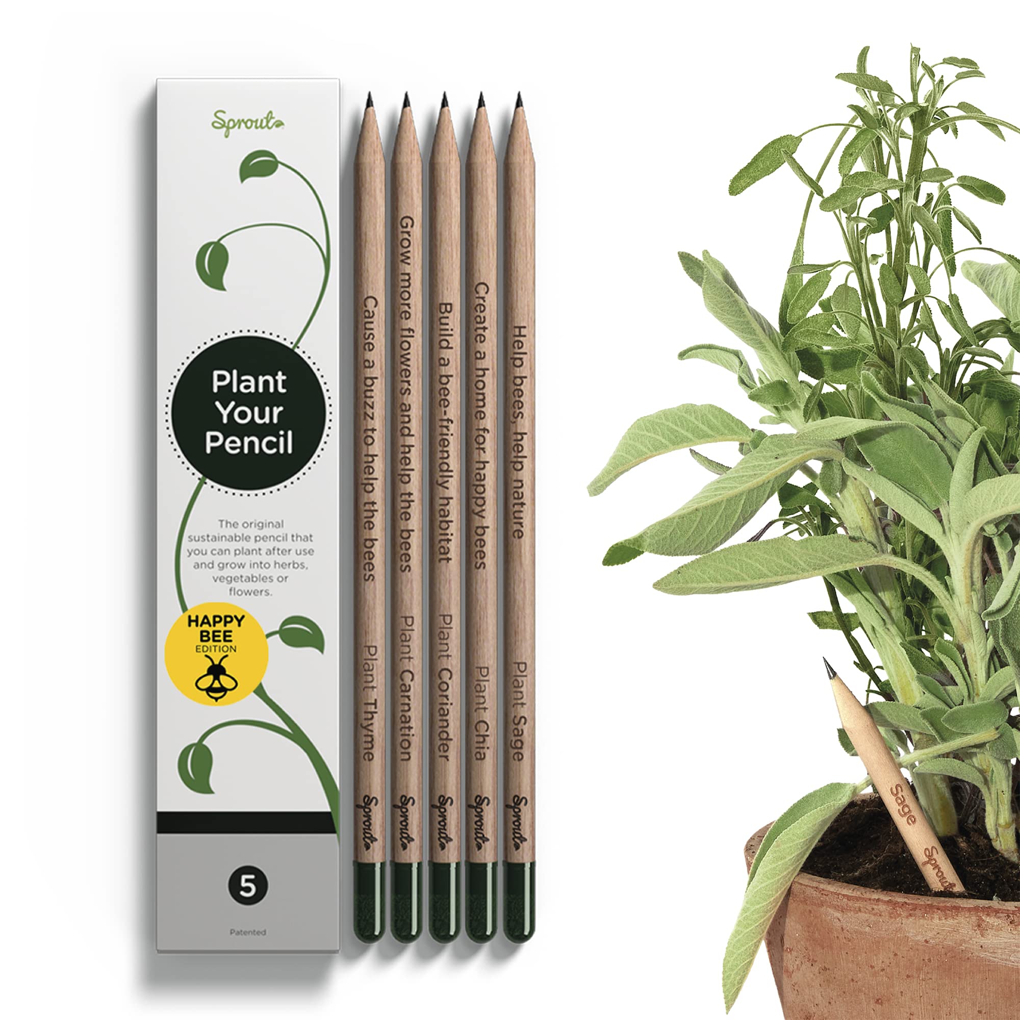Sprout Wood-Cased Pencils | Happy Bee Edition | 5 pcs, Unisex, Graphite ...