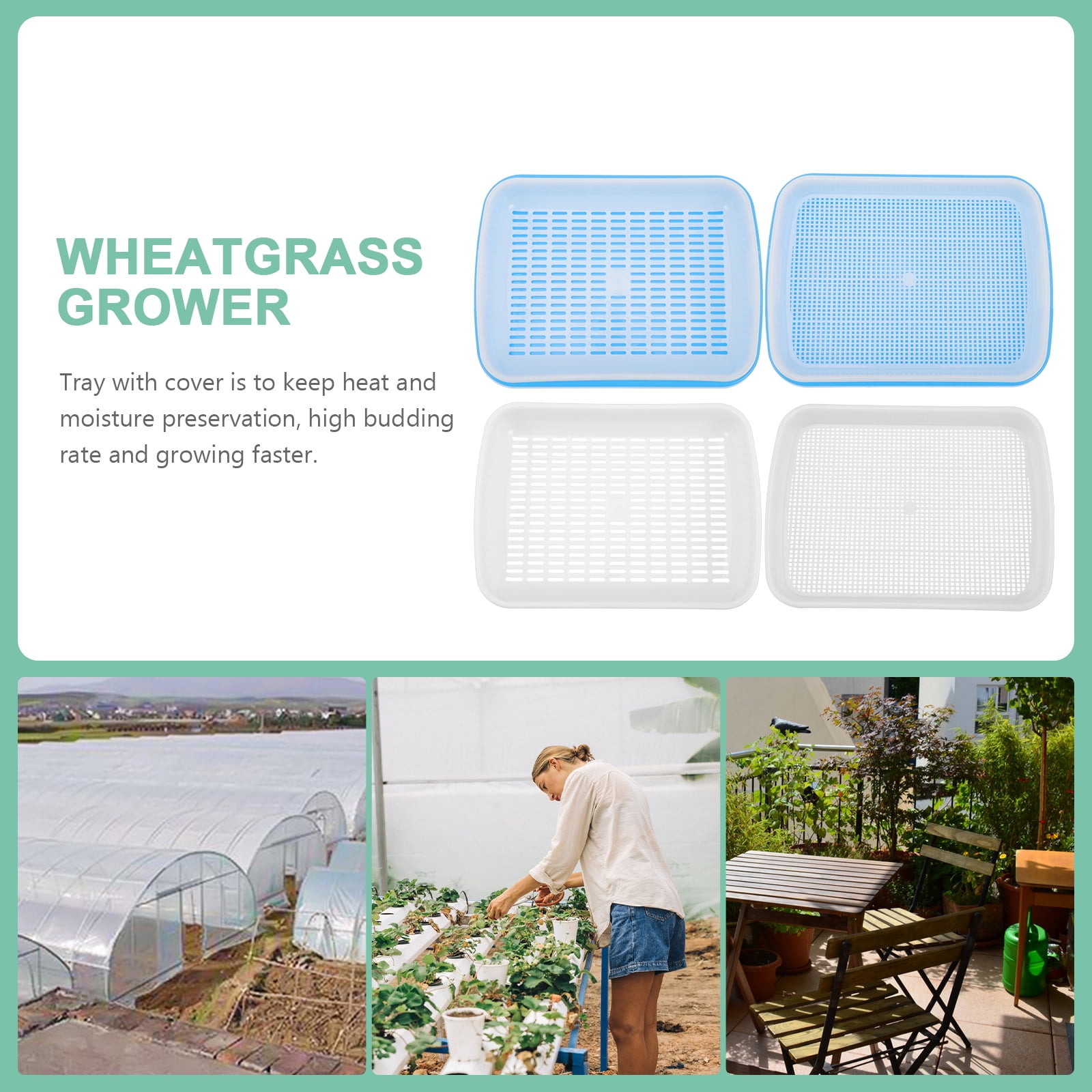 Sprout trays 1 Set Vegetable Starter Plate Starter Tray Multi-function ...