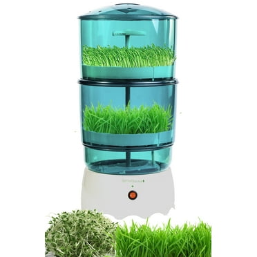 Sprout Master Mini Sprouter - Small Sprouting Tray - Grow Sprouts ...