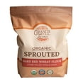 Sprouted Organic Hard Red Wheat Flour, 5 lb - Walmart.com