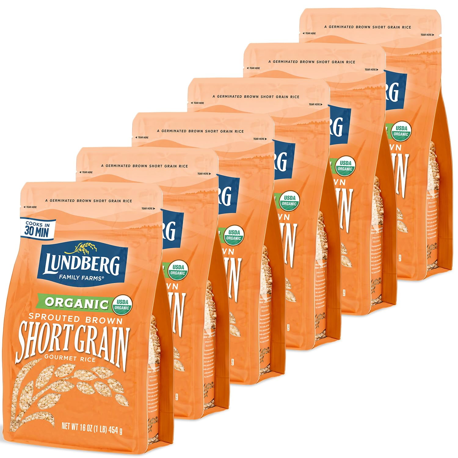 Sprouted Short Brown Rice, Organic Brown Rice - Nutty & Sticky ...