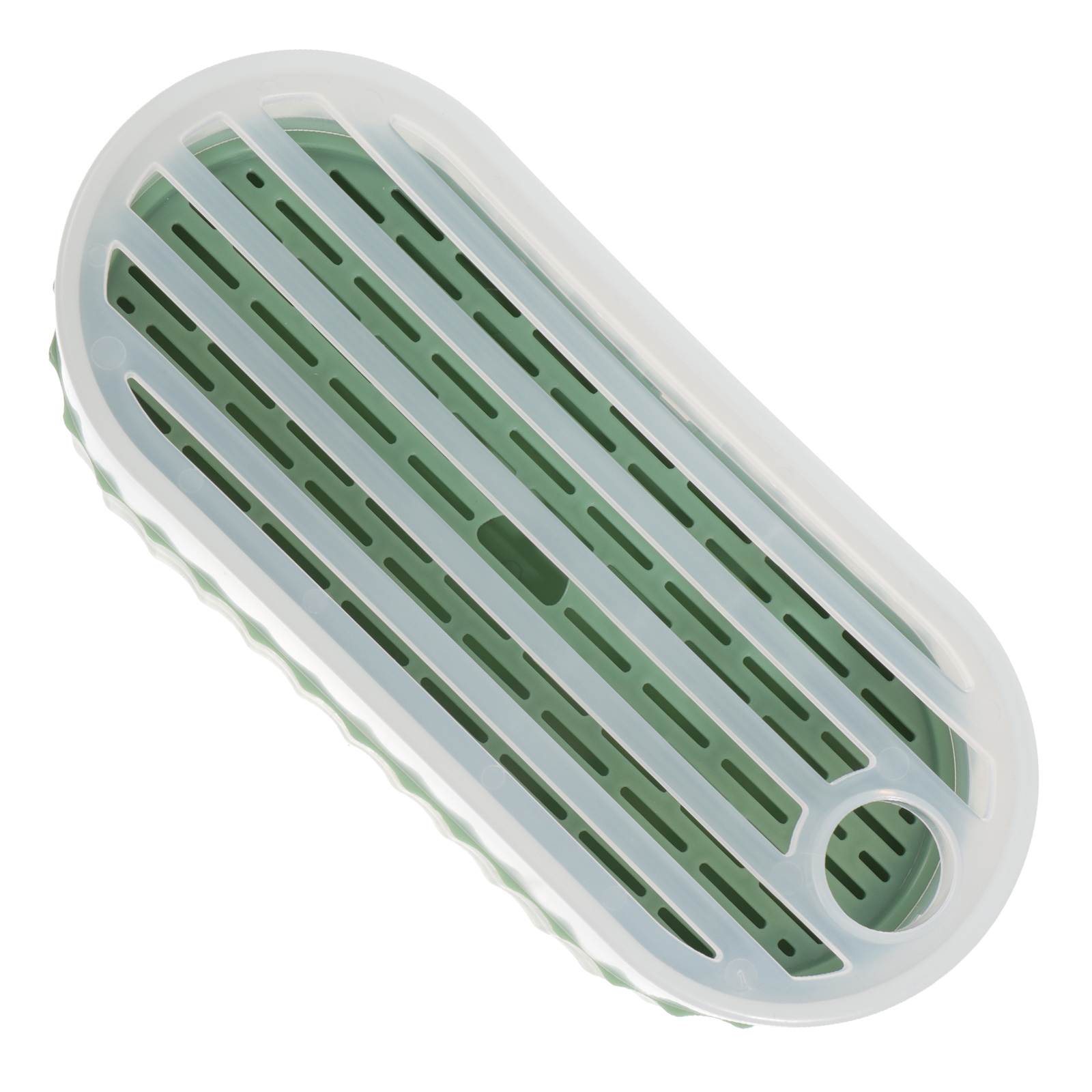 Sprouting Container Catnip Planter Grass Planting Kit Pot - Walmart.com