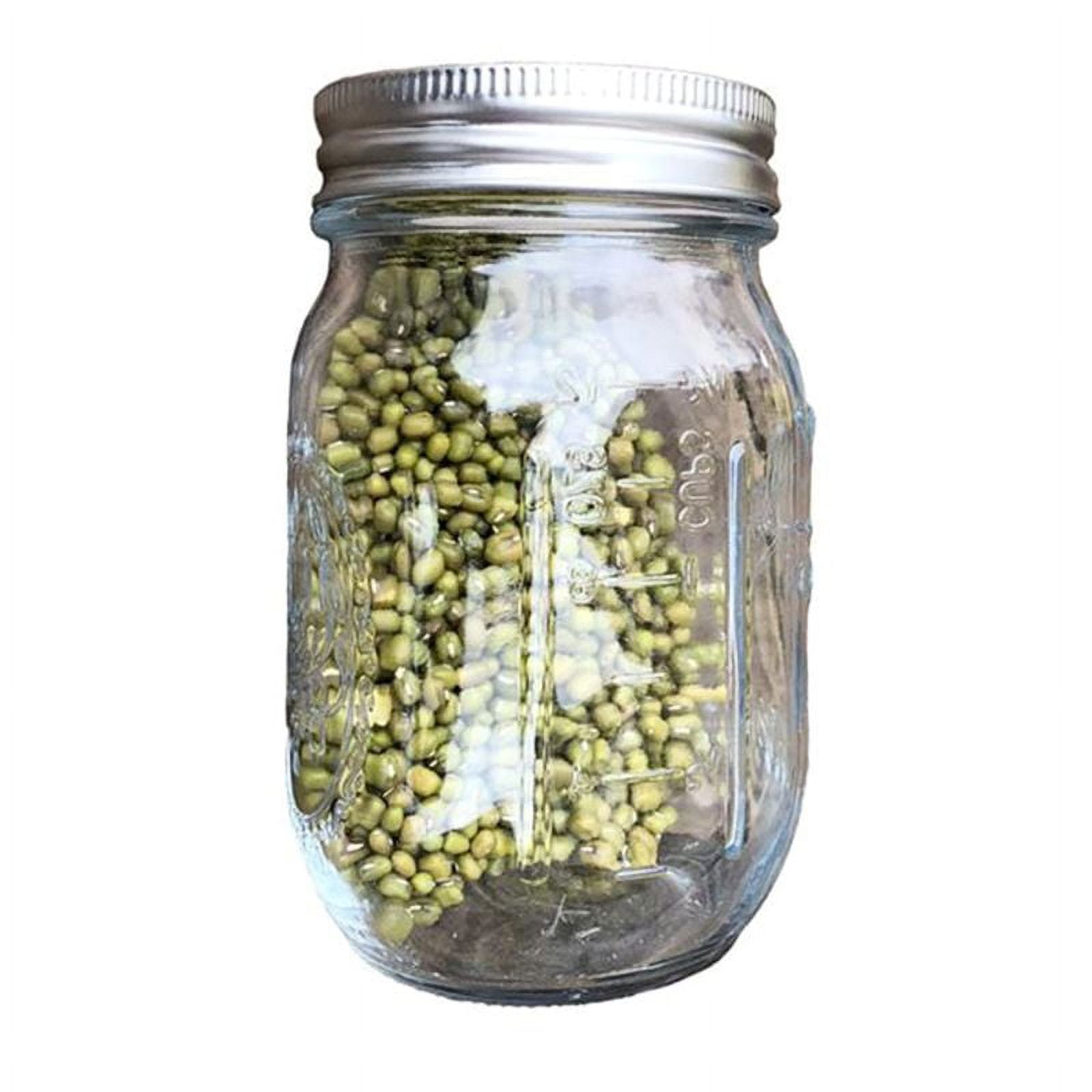 Sprouting Jar with Stainless Steel Screen Lid Wide Mouth Mason Sprouter ...