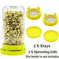 Wide Mouth Mason Jars Sprouting Lids Kit with Stainless Steel Screens ...