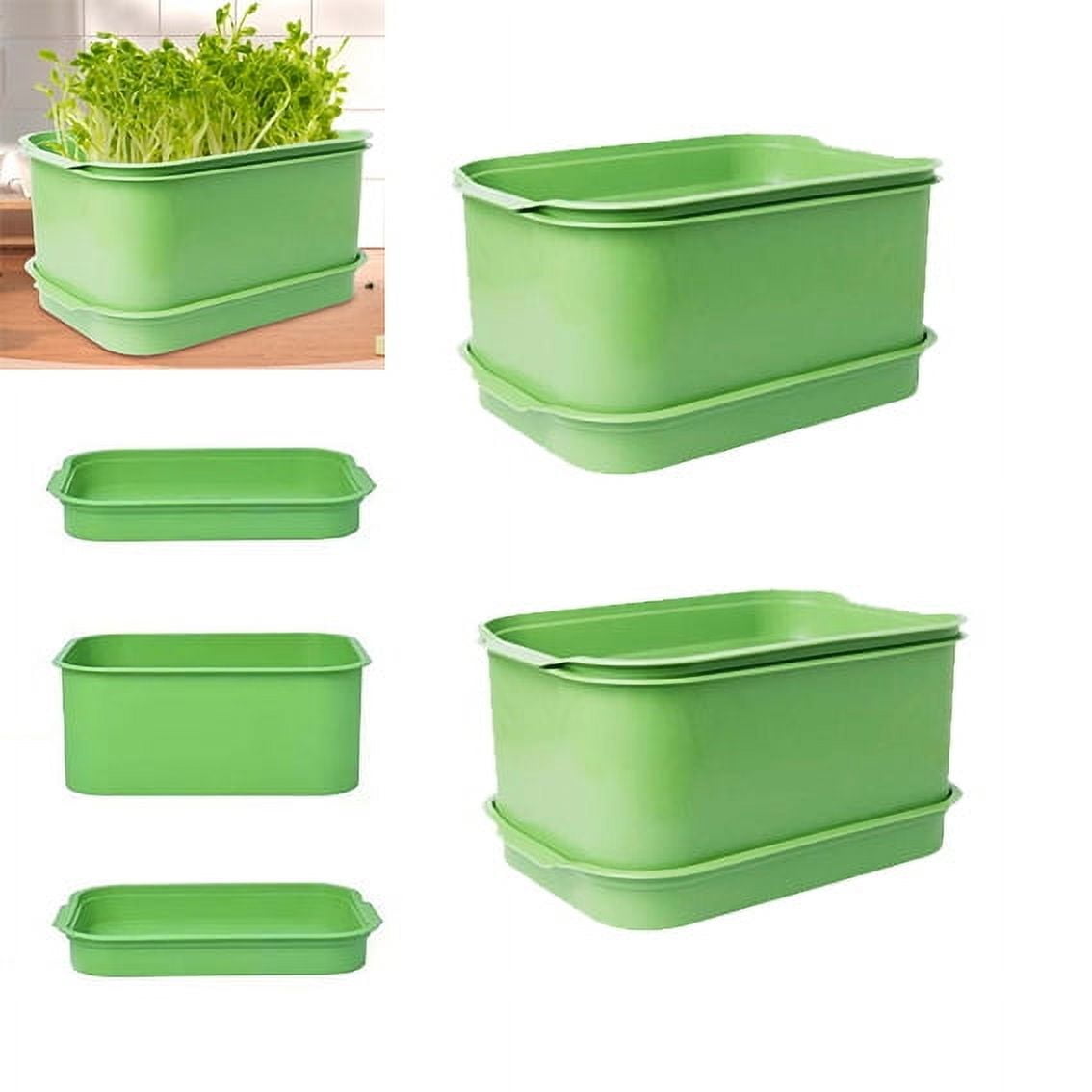 Sprouting Tray, Sprouting Kit, Seed Sprouting Tray, Sprouts Growing Kit ...