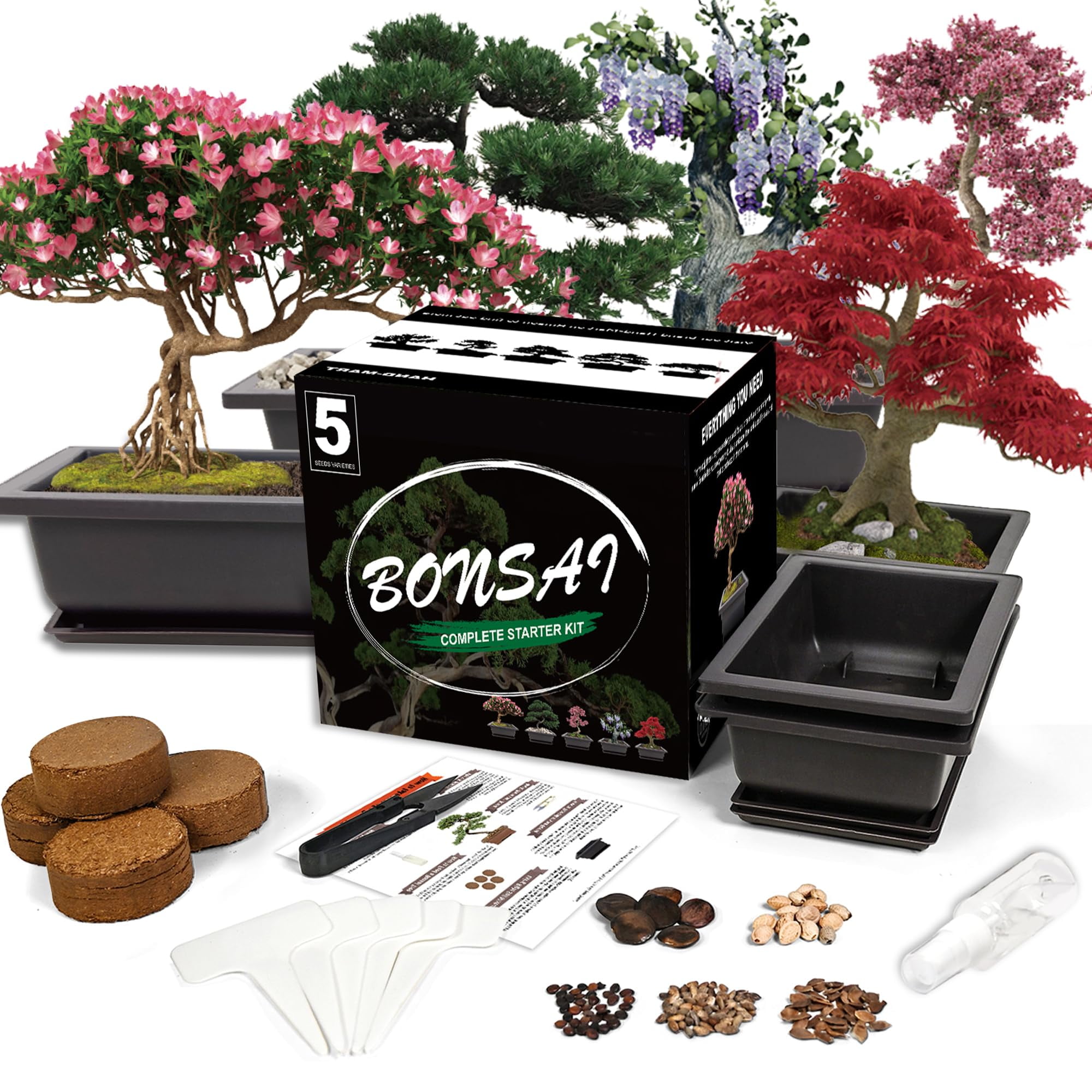 Sproutix Bonsai StarterTRDN Kit, 5 Seeds Growing into Acacia, Sakura ...