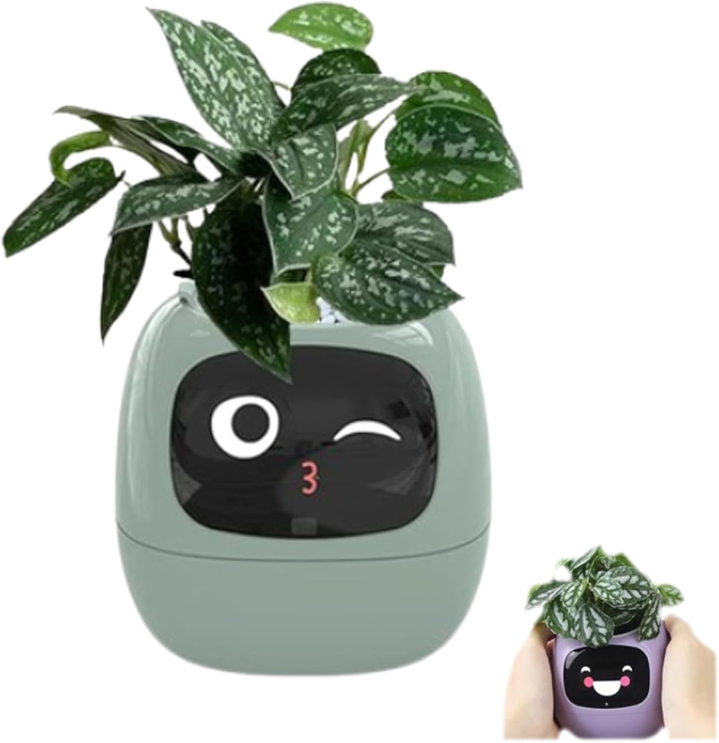 Sproutly-Smart Ai Plant Pot,Plantagotchi Planter, Sproutly Pot ...