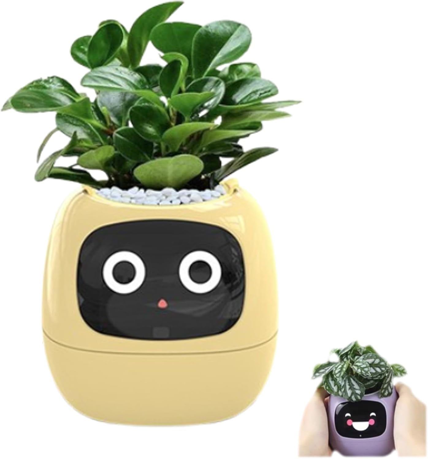 Sproutly-Smart Ai Plant Pot,Plantagotchi Planter, Sproutly Pot ...