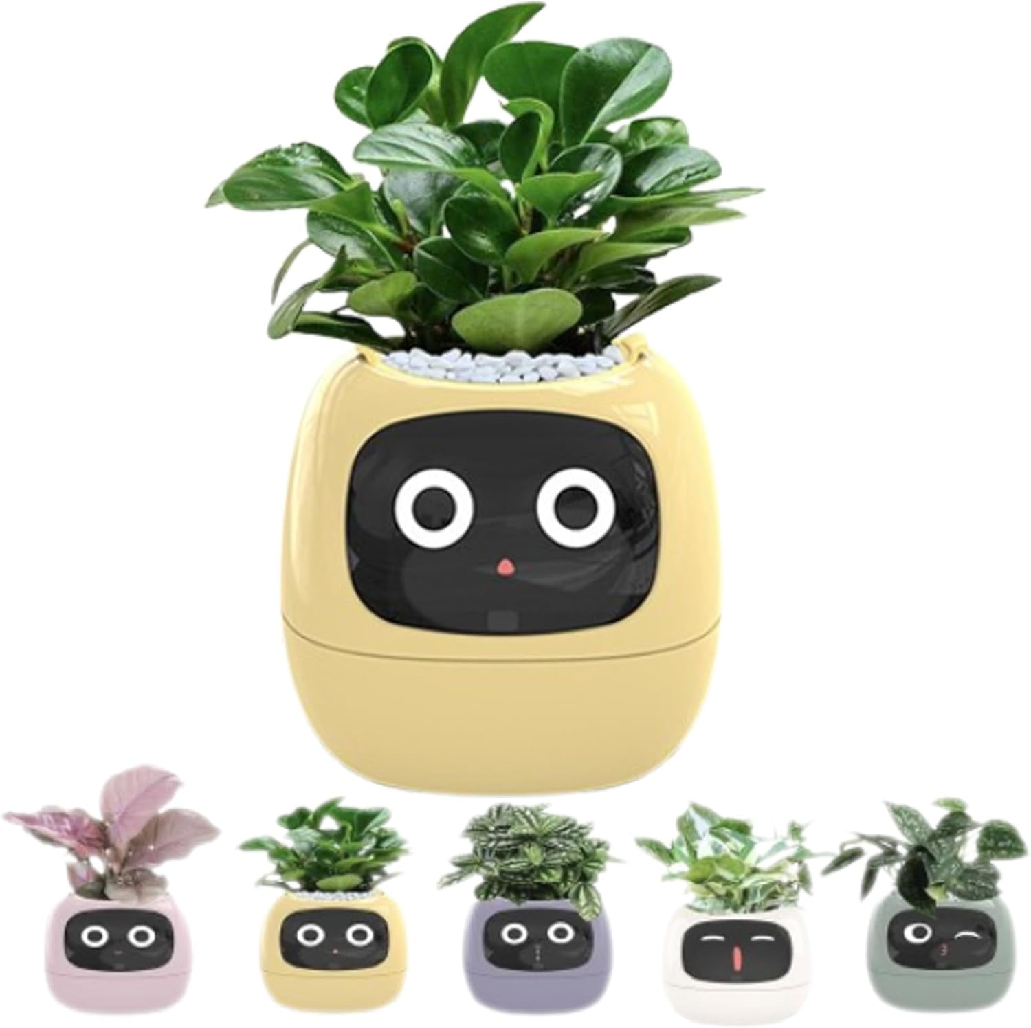 Sproutly-Smart Ai Plant Pot,Plantagotchi Smart Ai Plant Pot ...