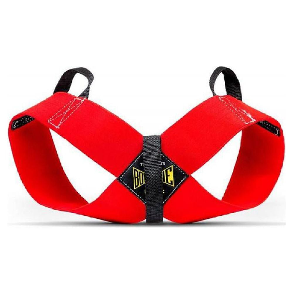 Spud Inc. Formal Donnie Thompson Bowtie - Walmart.com