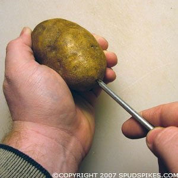 Spud Spikes Potato Baking Nails - 6-in Food-Grade Stainless Steel (set ...