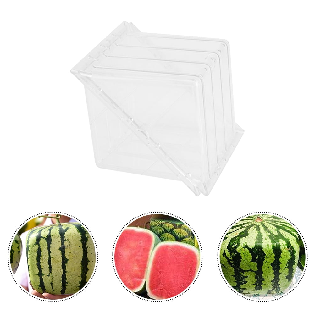 Squalise Fruit Shaping Mold Adorable Melon Mold Watermelon Growing Mold ...