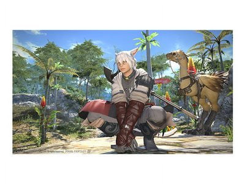 Pre-Owned Square Enix Cokem International Final Fantasy Xiv: A Realm ...