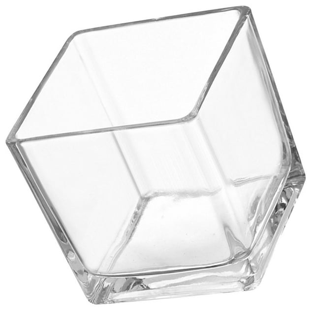 Square Glass Vase Multipurpose Flower Vase Small Cube Succulent Planter ...