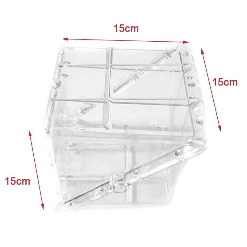 Square Heart Watermelon Mold Garden Fruit Growth Forming Shaping Mould ...