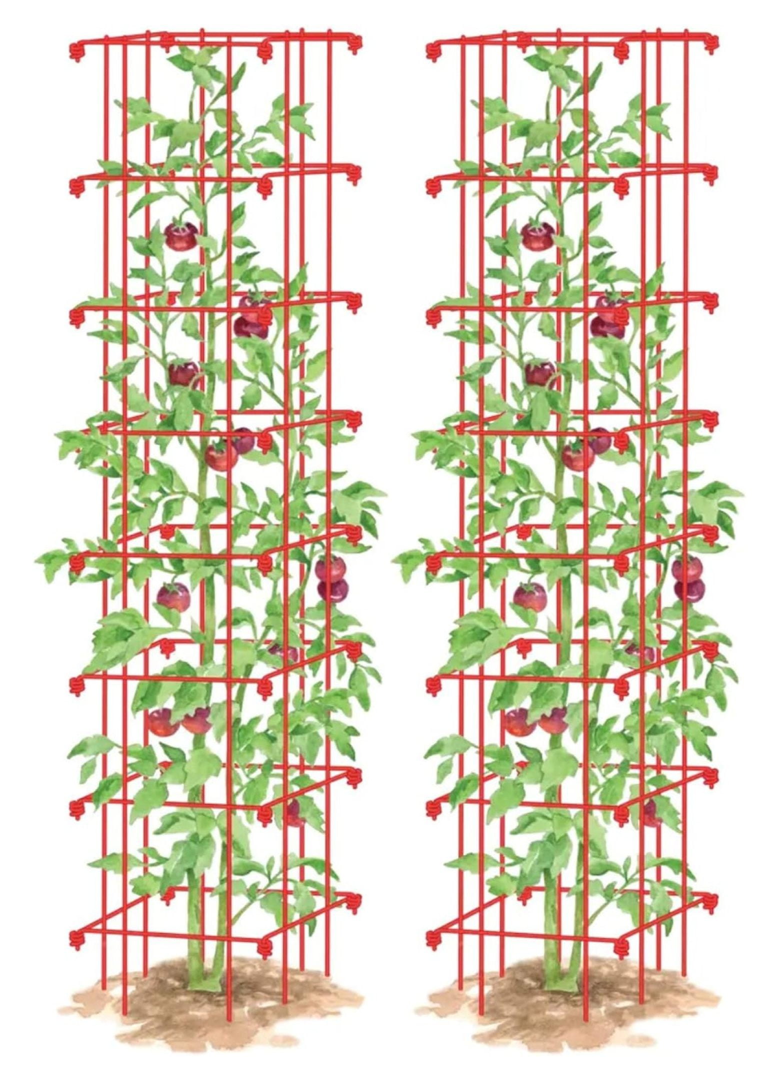 Square Heavy Gauge Extra Tall Easy Fold Tomato Cage | Easy to Assemble ...
