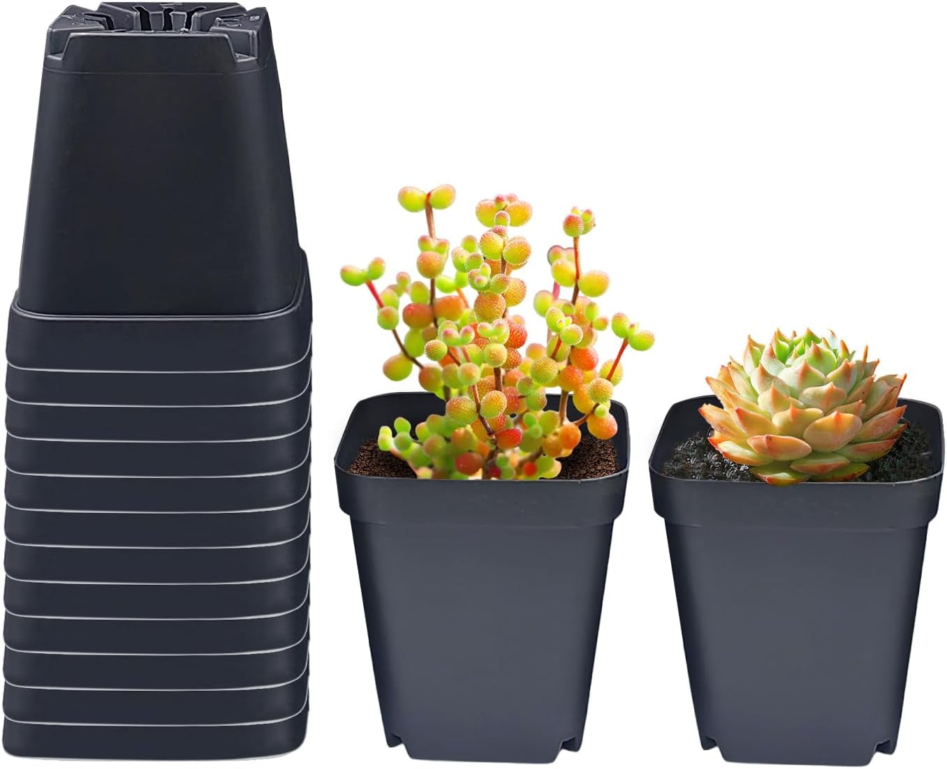 Square Nursery Pots 3.54Inches 90 Pcs Seedling Flower Post Plastic ...