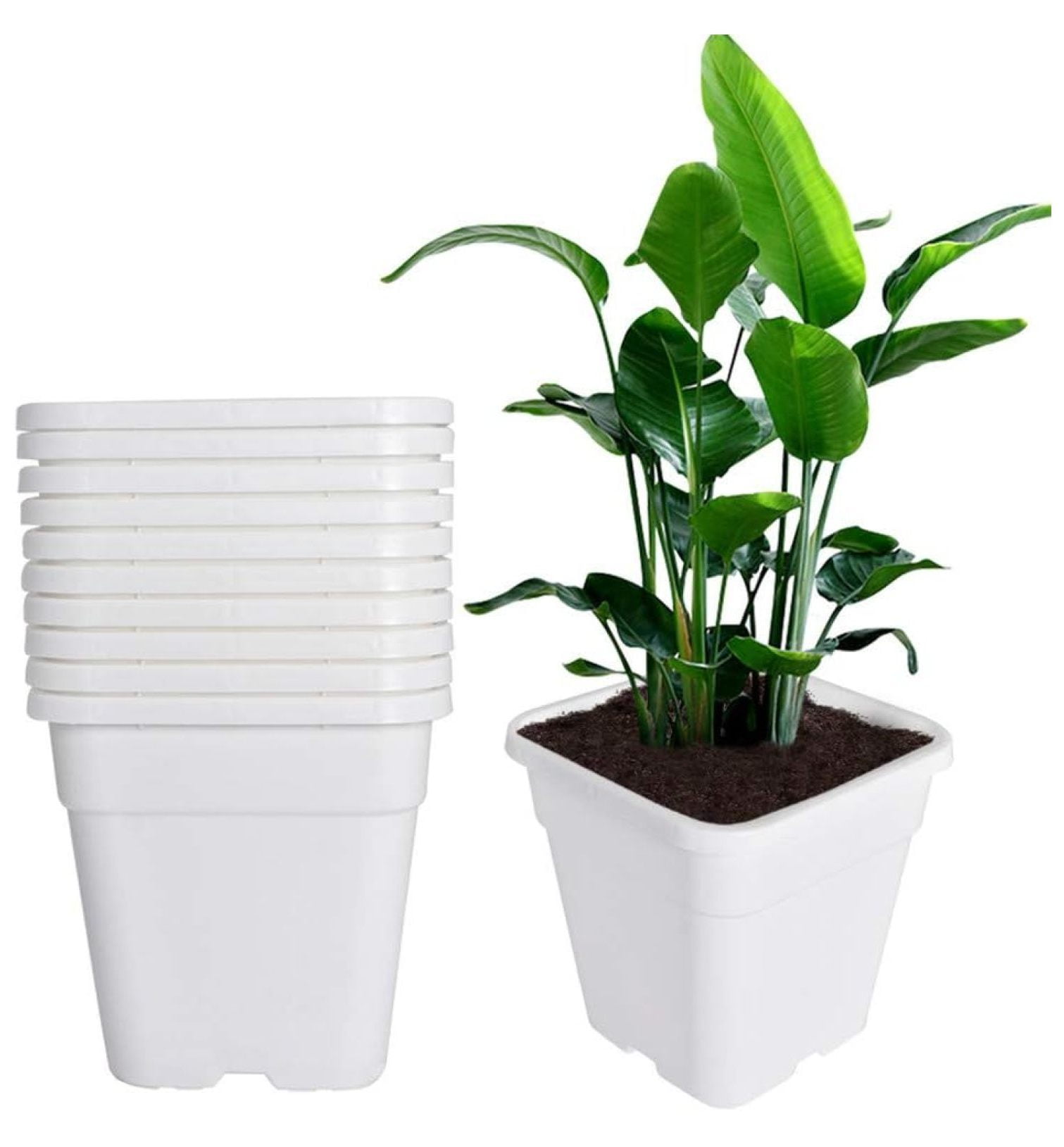 Square Nursery Pots Plant Pots Grow Pots Nursery Container Fit for ...