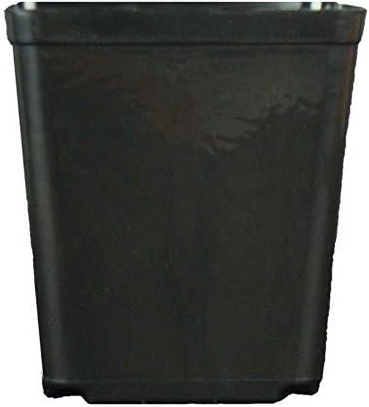 Square Orchid Pot - 6 Pack (5.5 Inch Jumbo, Black) - Walmart.com