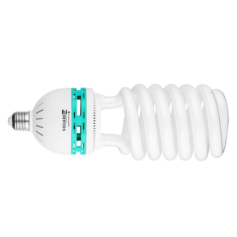 100 Watt Compact Fluorescent Goodbye, 100 Watt Light Bulb – San