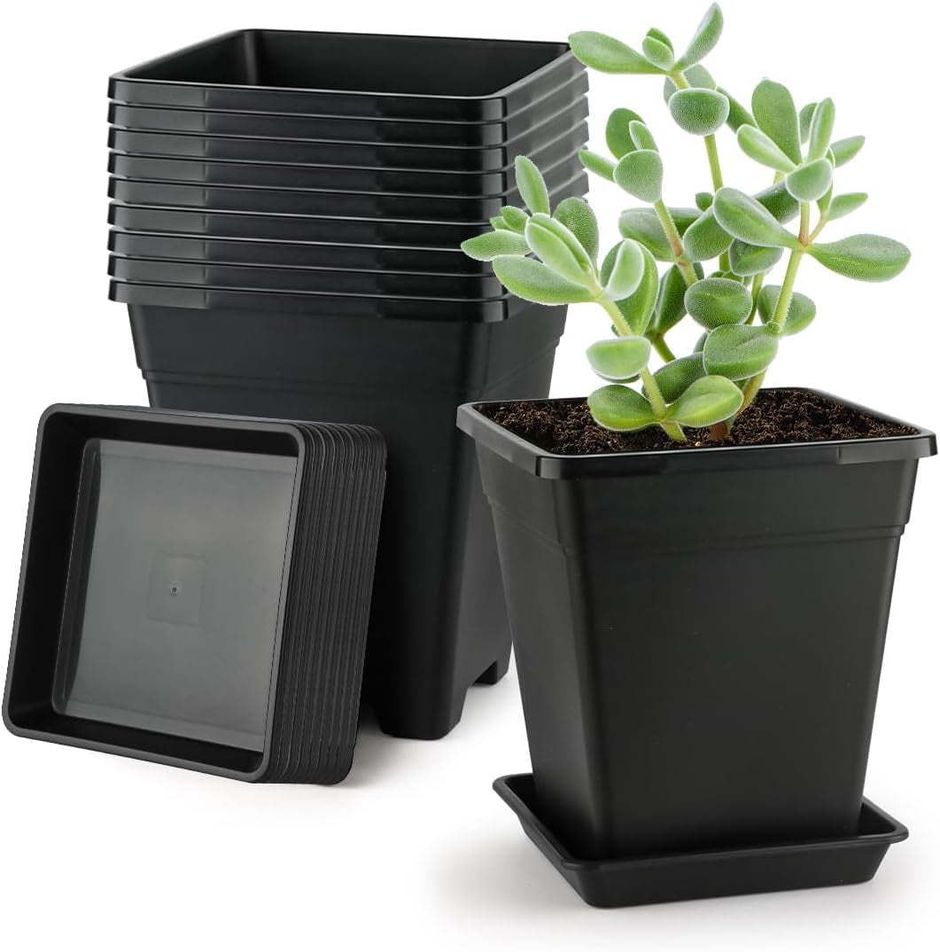 Square Plastic Planter 8 Inch, Plant Pots with Drainage Hole & Tray, 10 ...