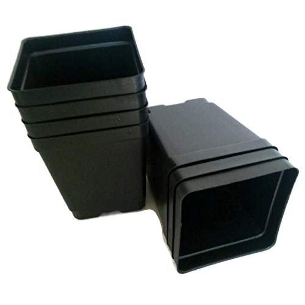 Square Quart Nursery Pots - 4.25" Square x 4.88" Deep (50) - Black ...