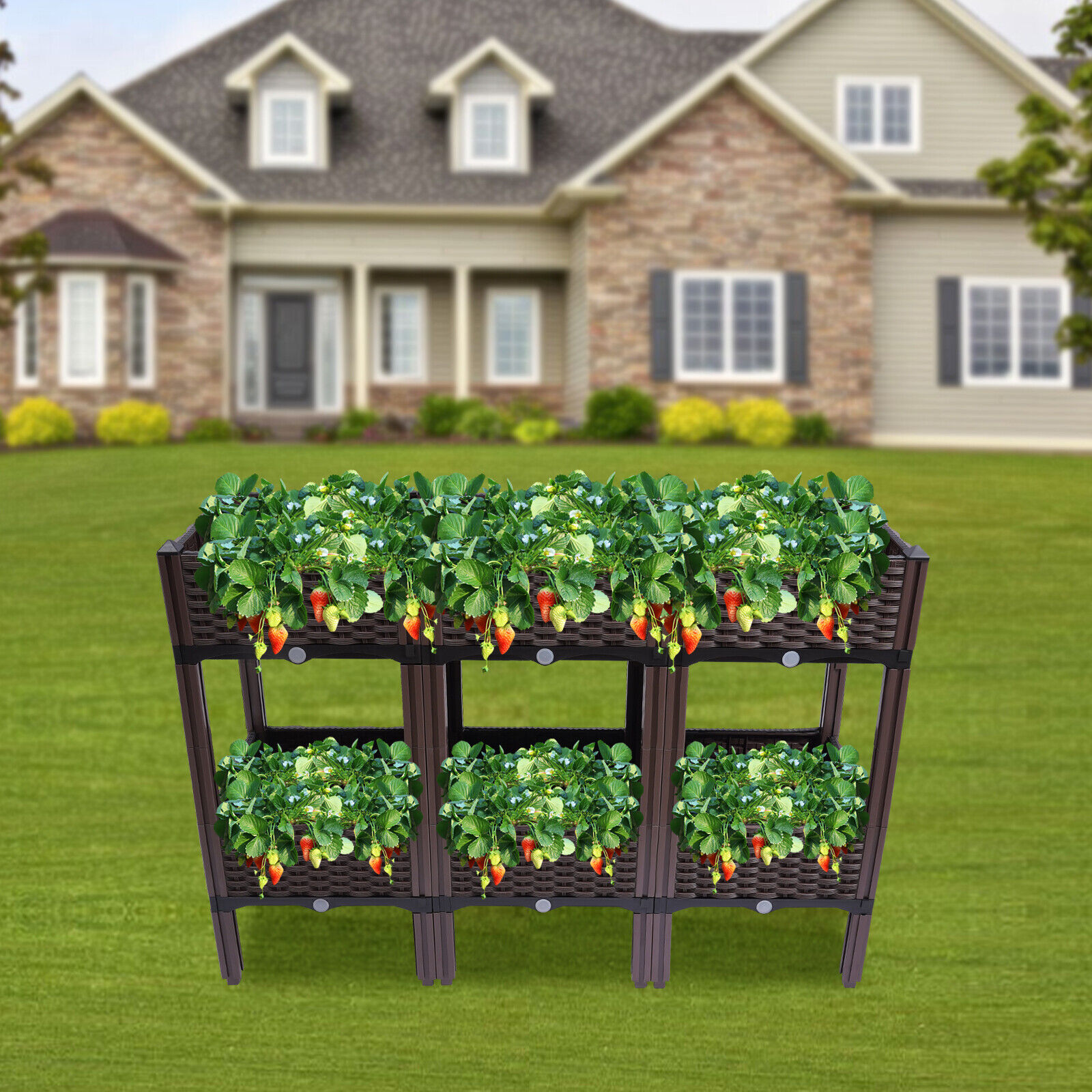 Square Raised Garden Bed 3+3 Grids Planter Box for Vegetables, Fruits ...