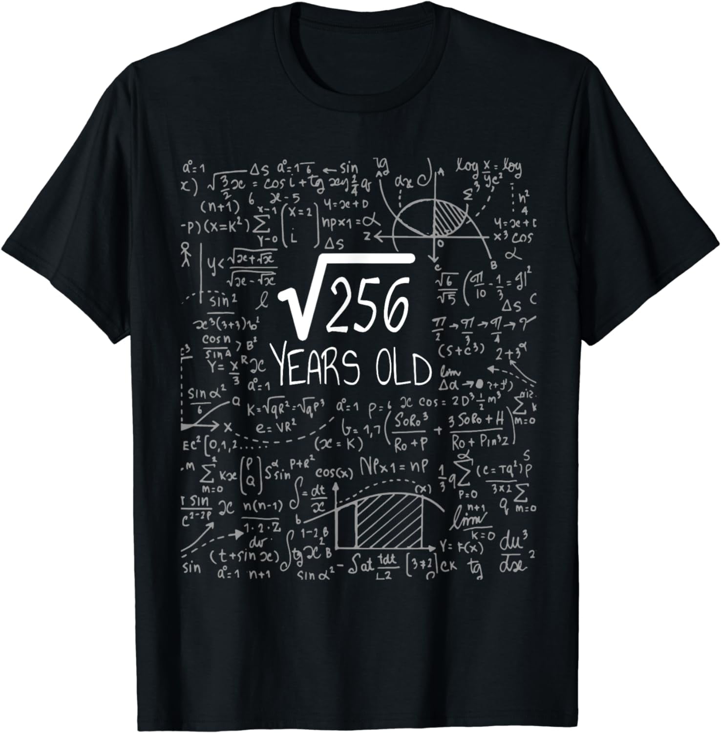 Square Root of 256: 16 Years Old, 16th Birthday Design T-Shirt ...