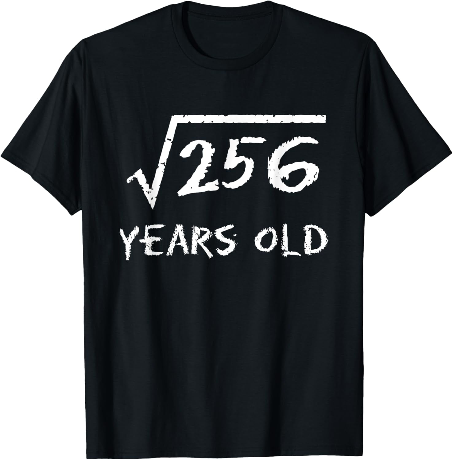 Square Root of 256 16th Birthday 16 Years Old Math Funny T-Shirt100 ...