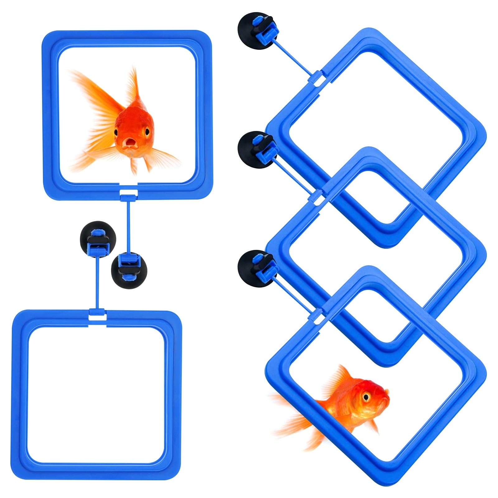 Square Shape Feeding Ring,Fish Feeding Ring with Suction Cup,Blue Fish ...