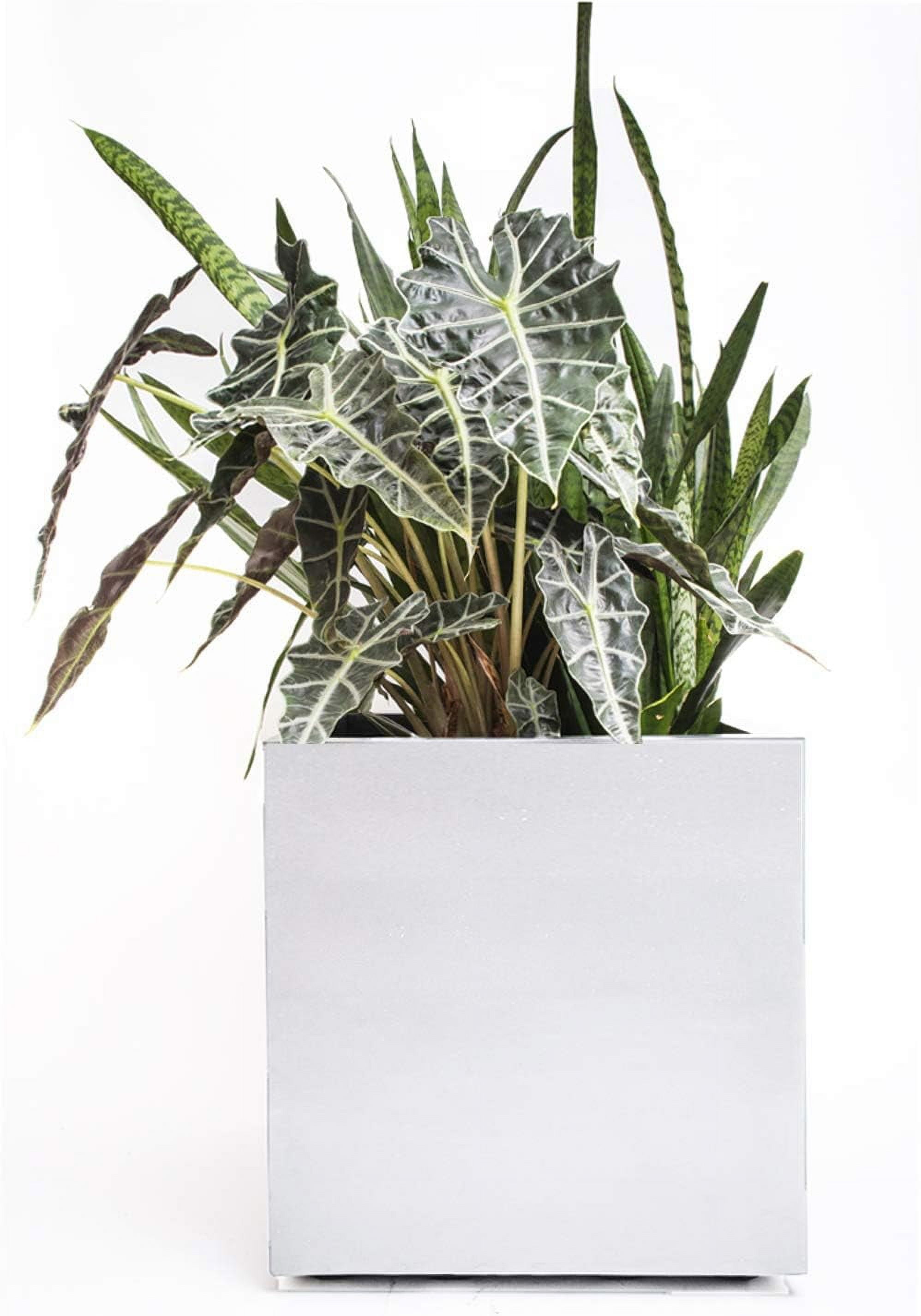 Square White Planter Outdoor, Indoor | Seeley Cube Modern Box 14" Inch ...