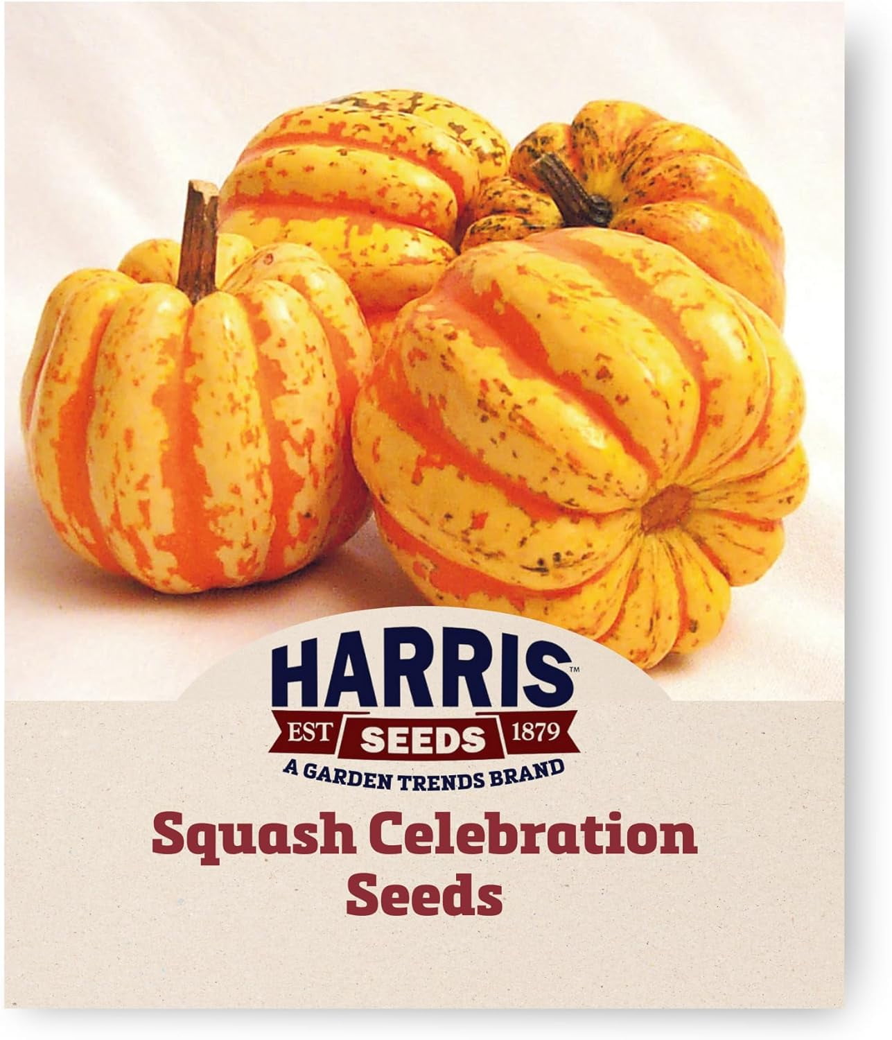 Harris Seeds - Winter Acorn Squash Celebration Yellow F1 Variety - 250 ...