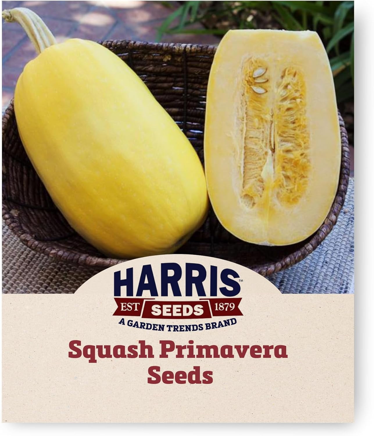 Harris Seeds - Squash Seeds Primavera F1 Canary Yellow Variety - 250 ...