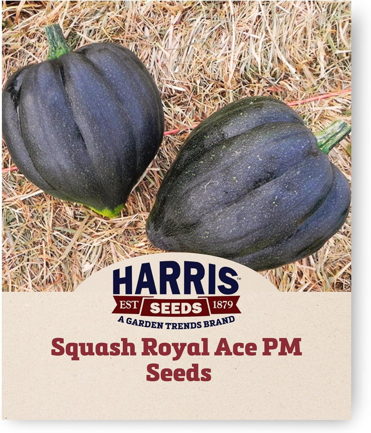 Harris Seeds - Squash Royal Ace Pm Variety Winter Acorn Dark Green ...