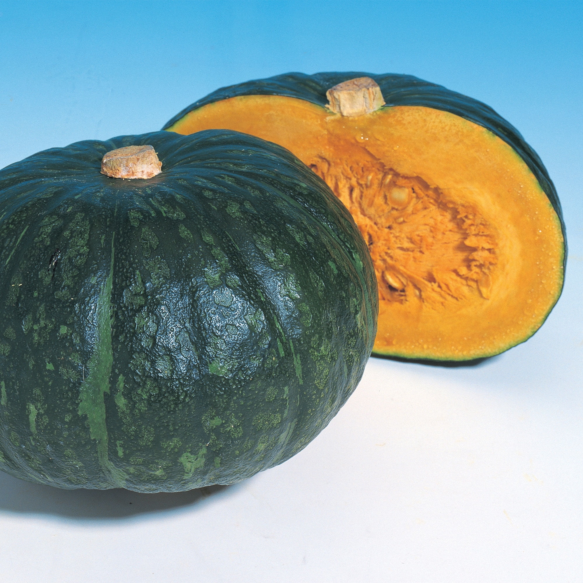 Hokkori 133 Japanese Winter Squash Seeds - Hybrid, Non-GMO, F1, Asian ...