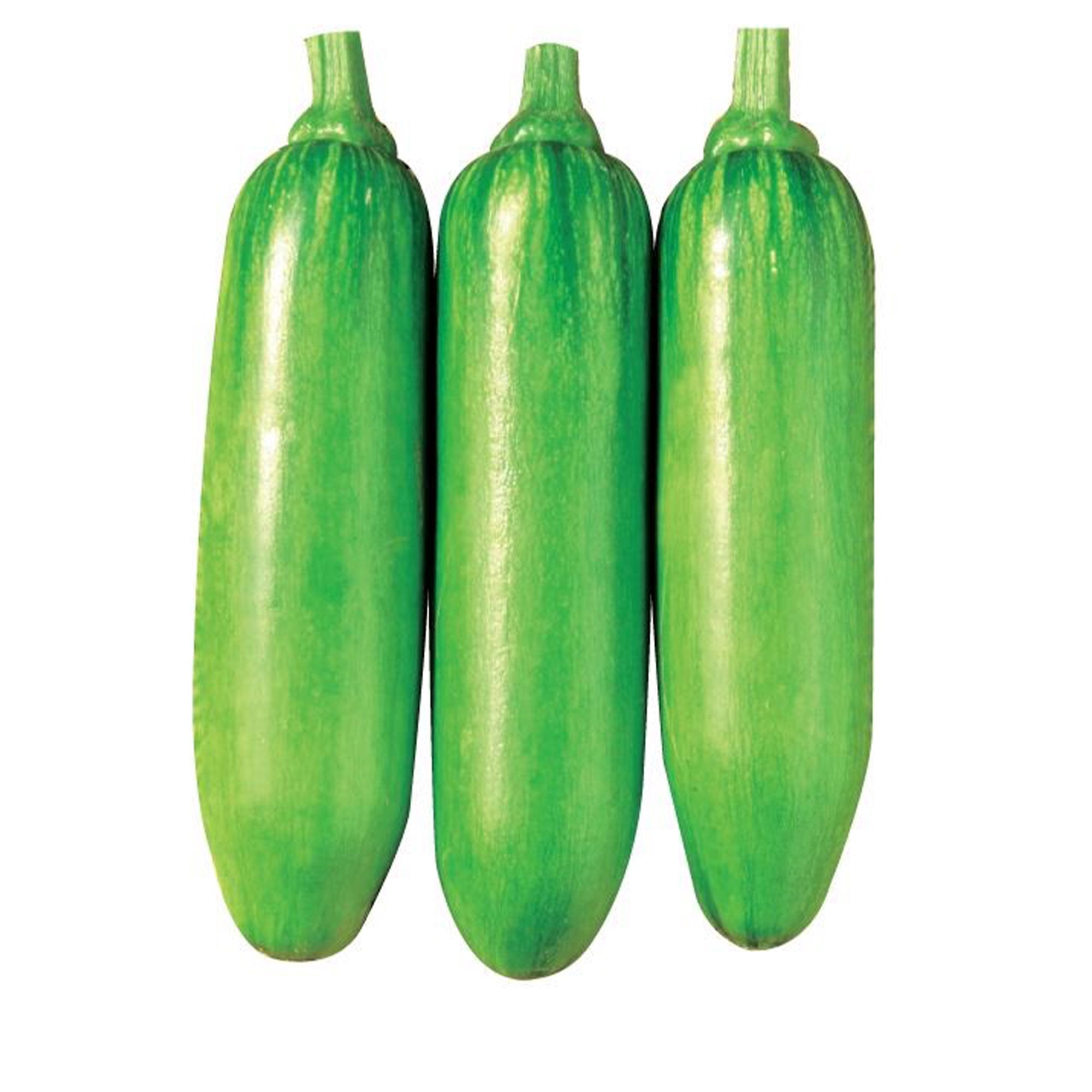 Kitazawa Seed Company 7 Korean Squash Planting Seeds, Non GMO - Walmart.com