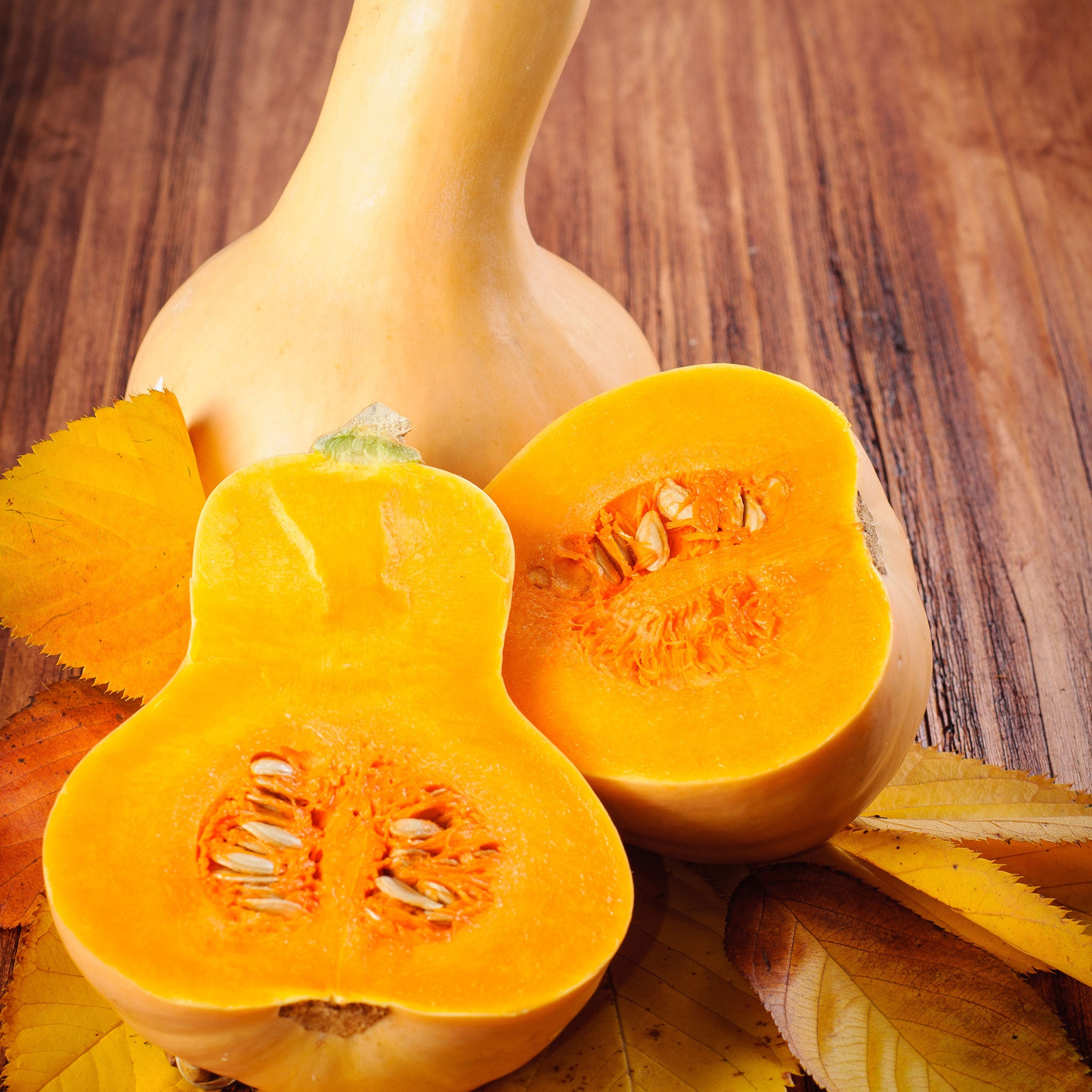 Eden Brothers Squash Seeds (Organic) - Waltham Butternut - Walmart ...