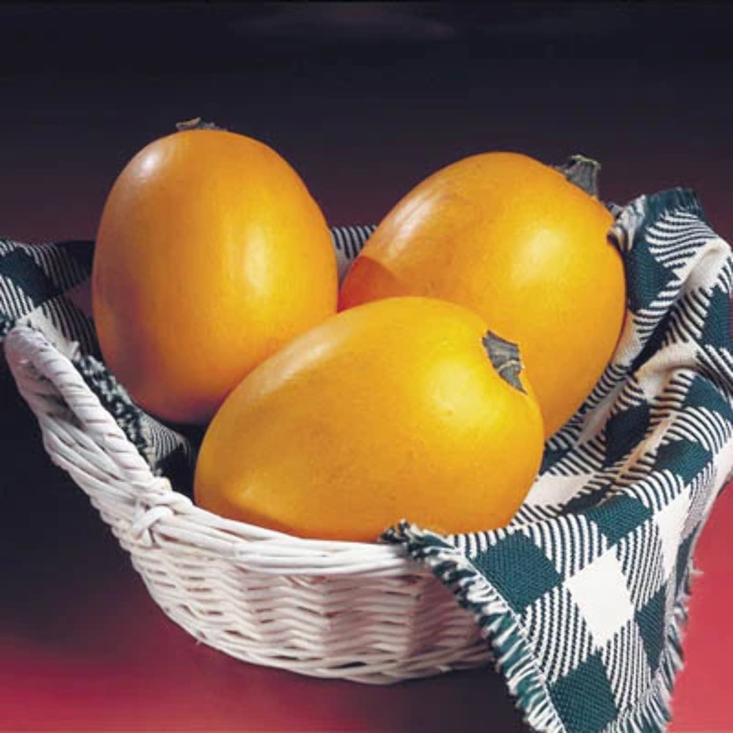 Squash Seeds - Treated Small Wonder Variety Squash Seeds - Non-GMO - 25 Seeds - Walmart.com