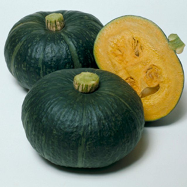 Squash Seeds - Winter - Delica - Hybrid - 4 Oz ~700 Seeds - Non-GMO, F1 ...