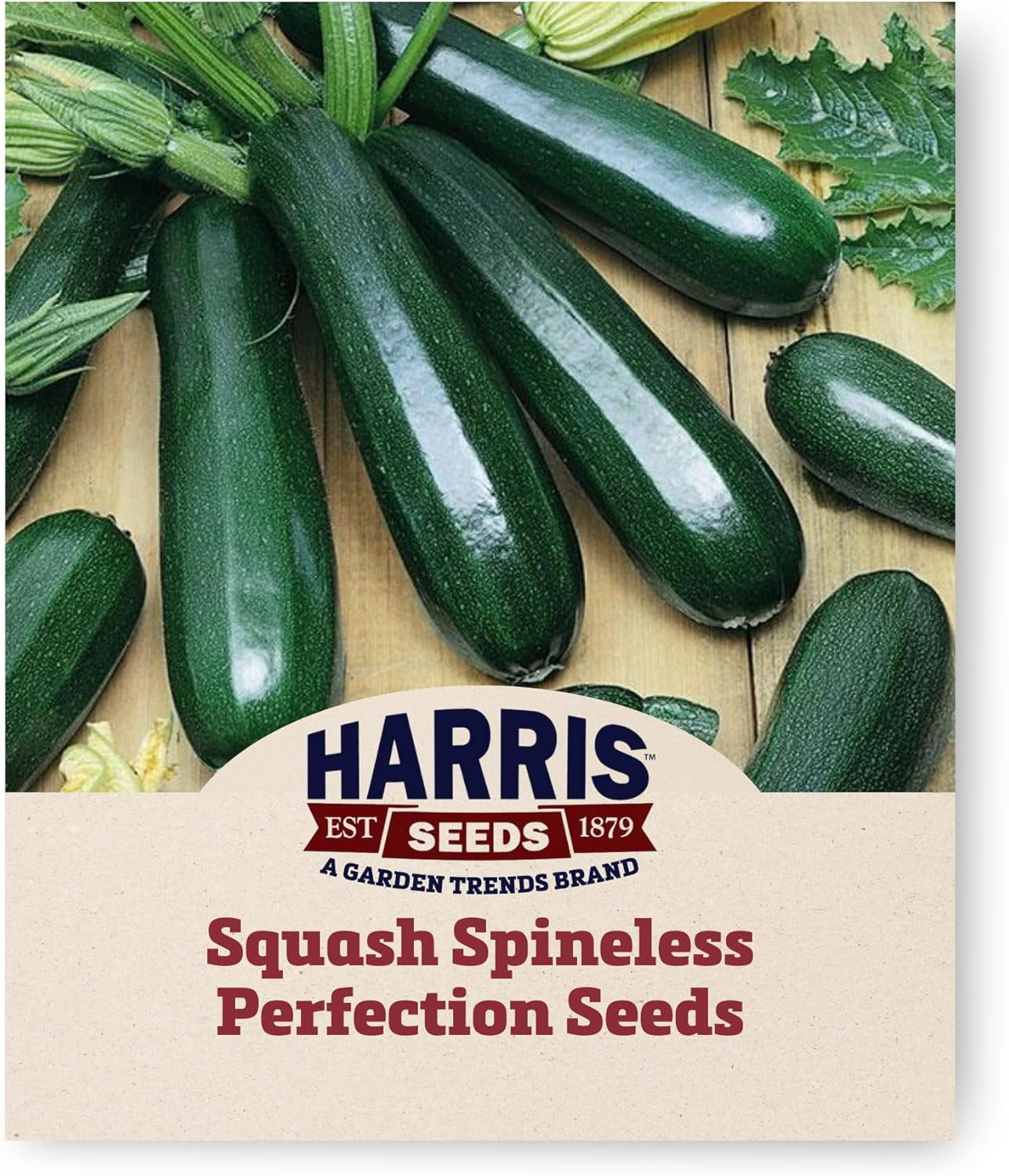 Harris Seeds - Squash Zucchini Spineless Perfection Variety - 1,000 ...